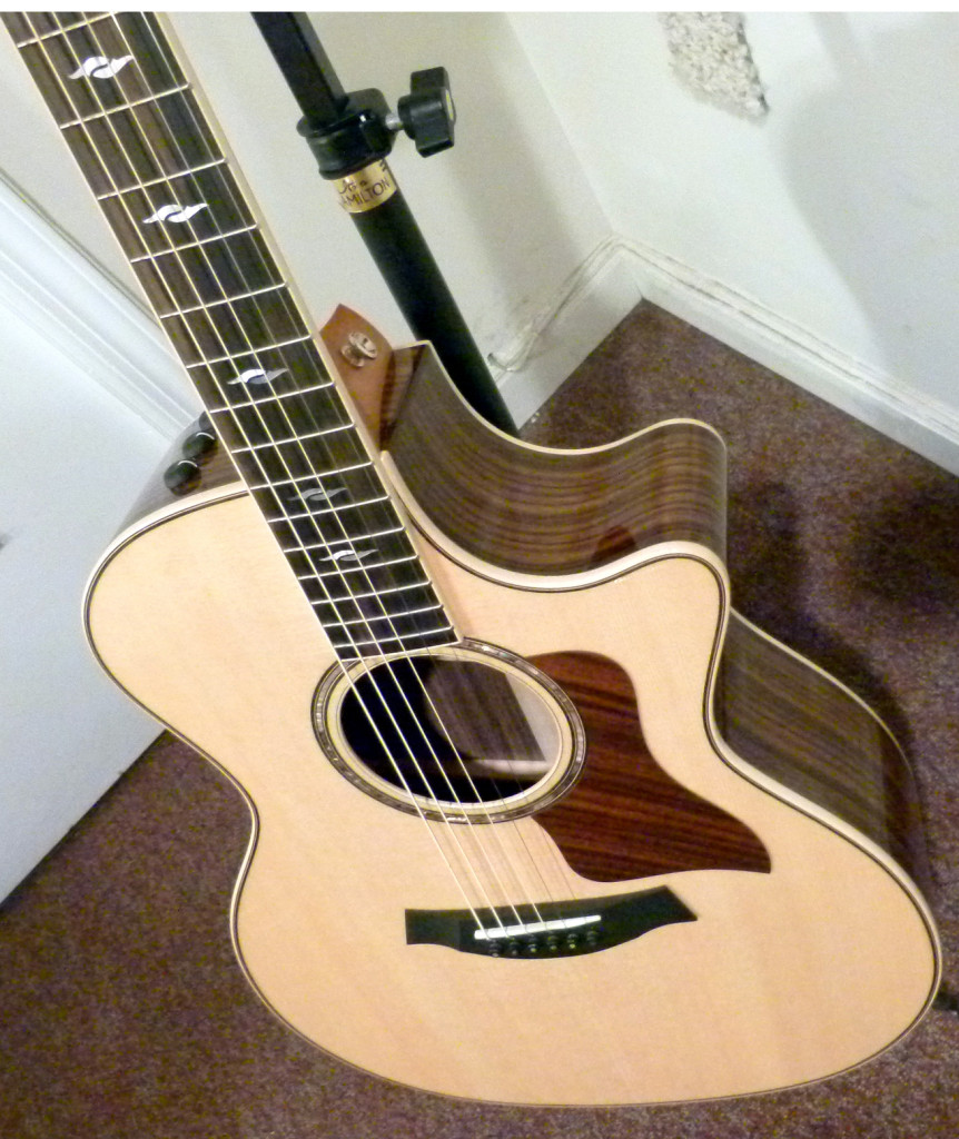 Taylor 814ce - Review | One Man's Guitar