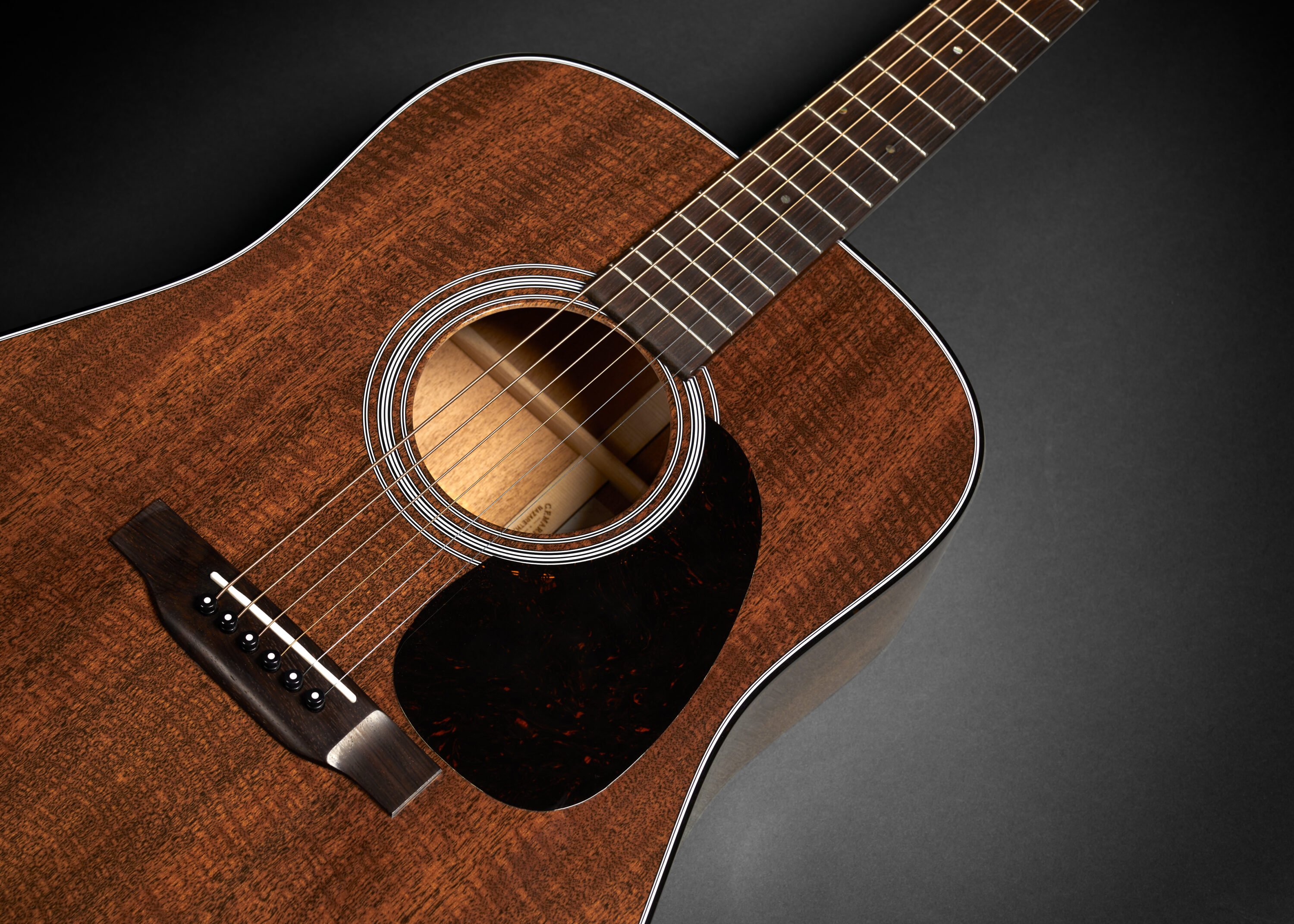 Martin D-19 190th Anniversary Limited Edition Photo Gallery | One Man's ...