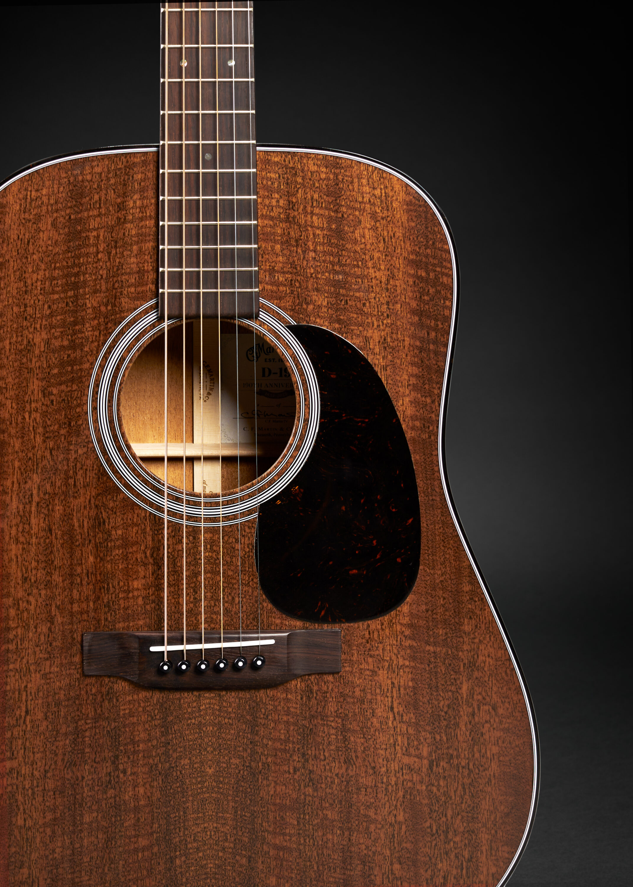 Martin D-19 190th Anniversary Limited Edition Photo Gallery | One Man's ...