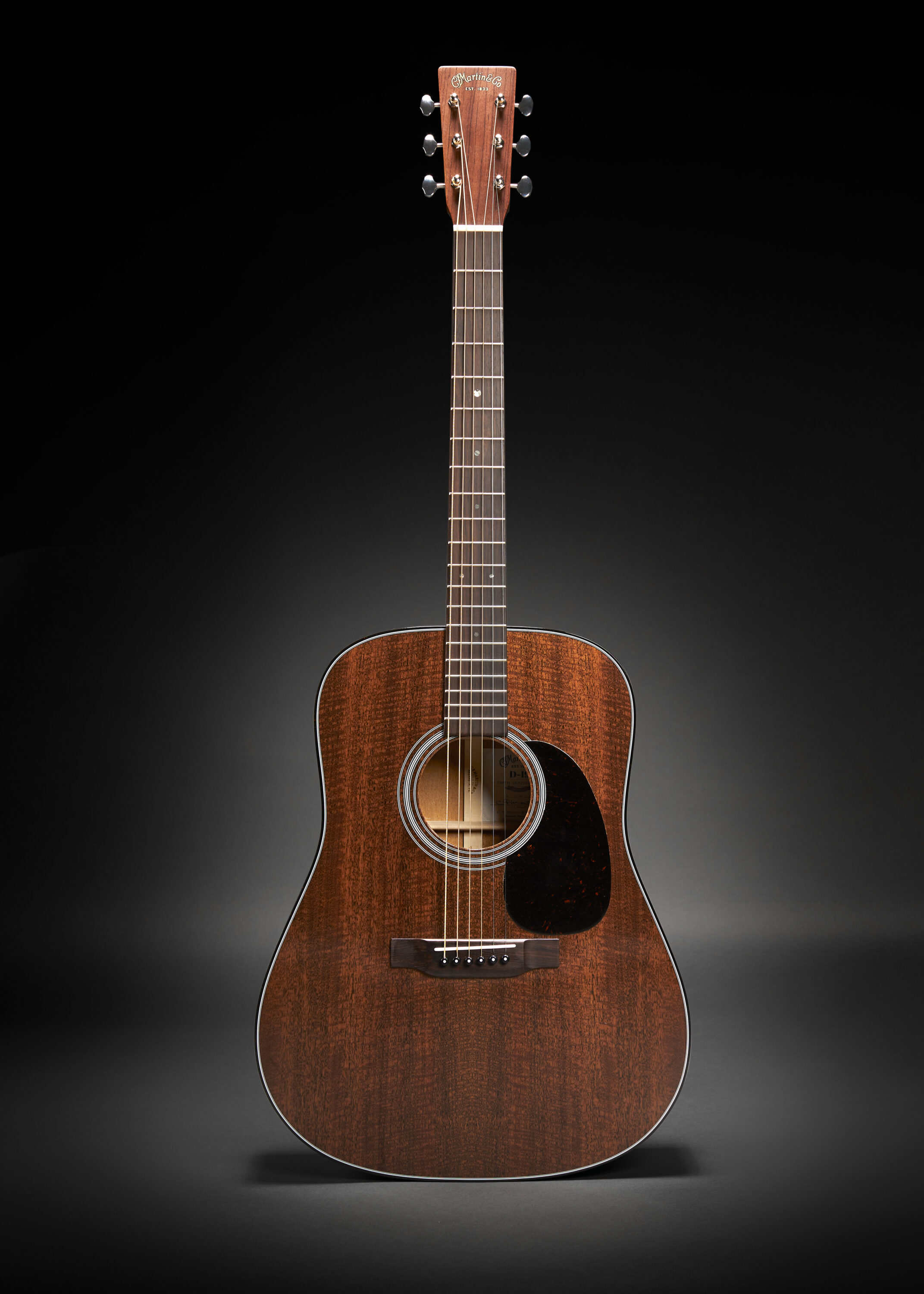 Martin D-19 190th Anniversary Limited Edition Photo Gallery | One Man's ...