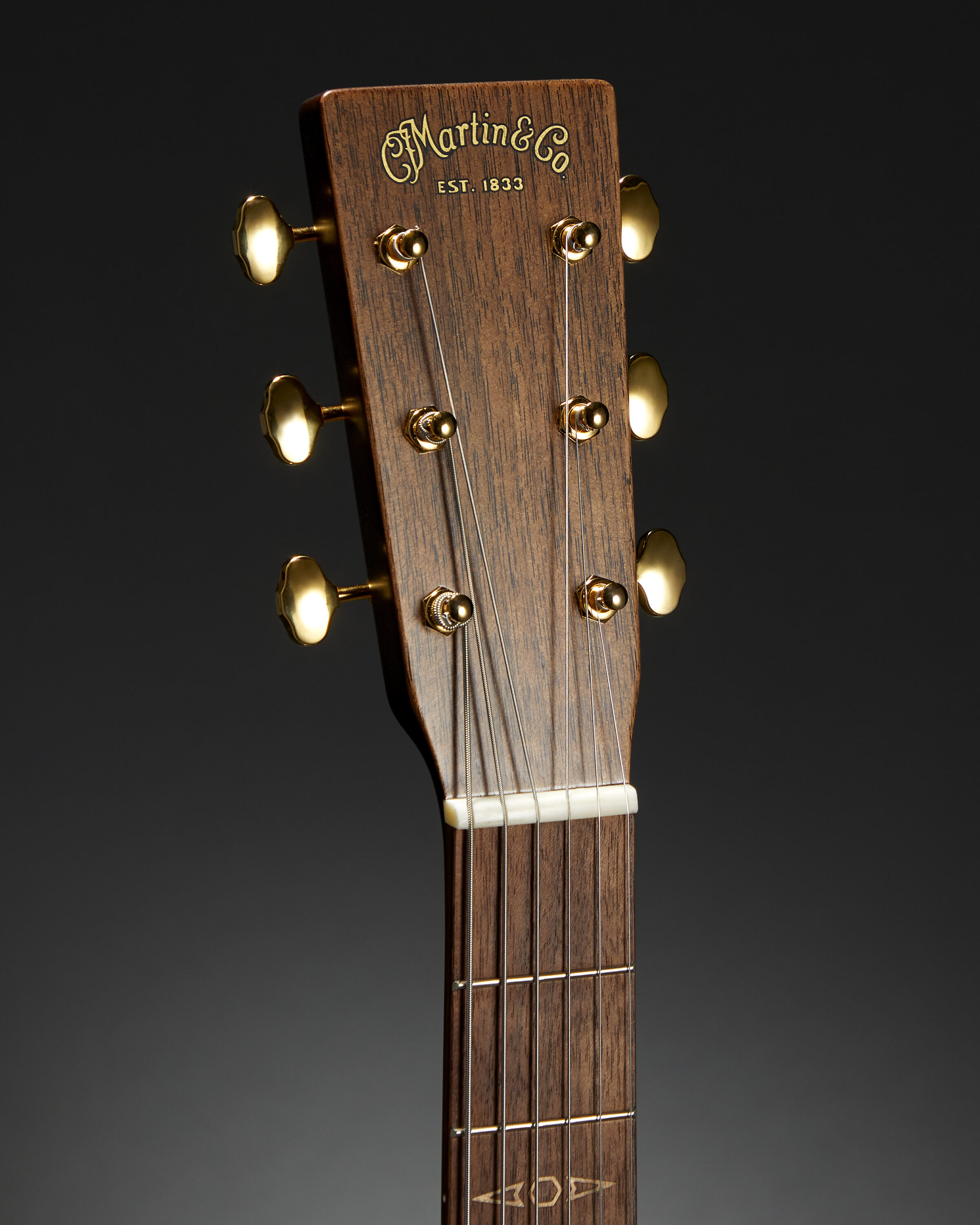 Martin GPCE Inception Maple Photo Gallery | One Man's Guitar