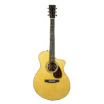 Martin SC-28E Photo Gallery | One Man's Guitar